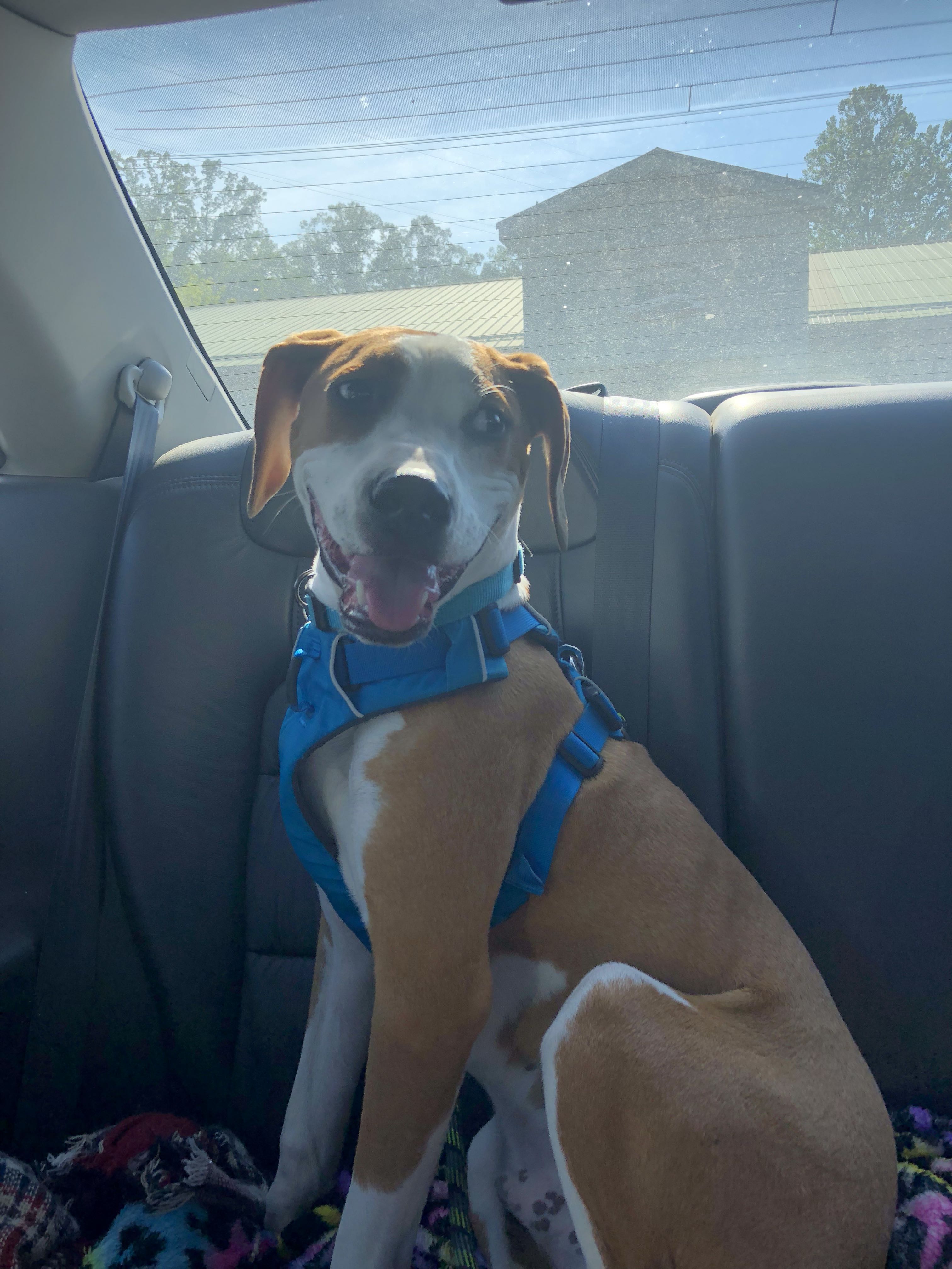 True derp moment | Scrolller