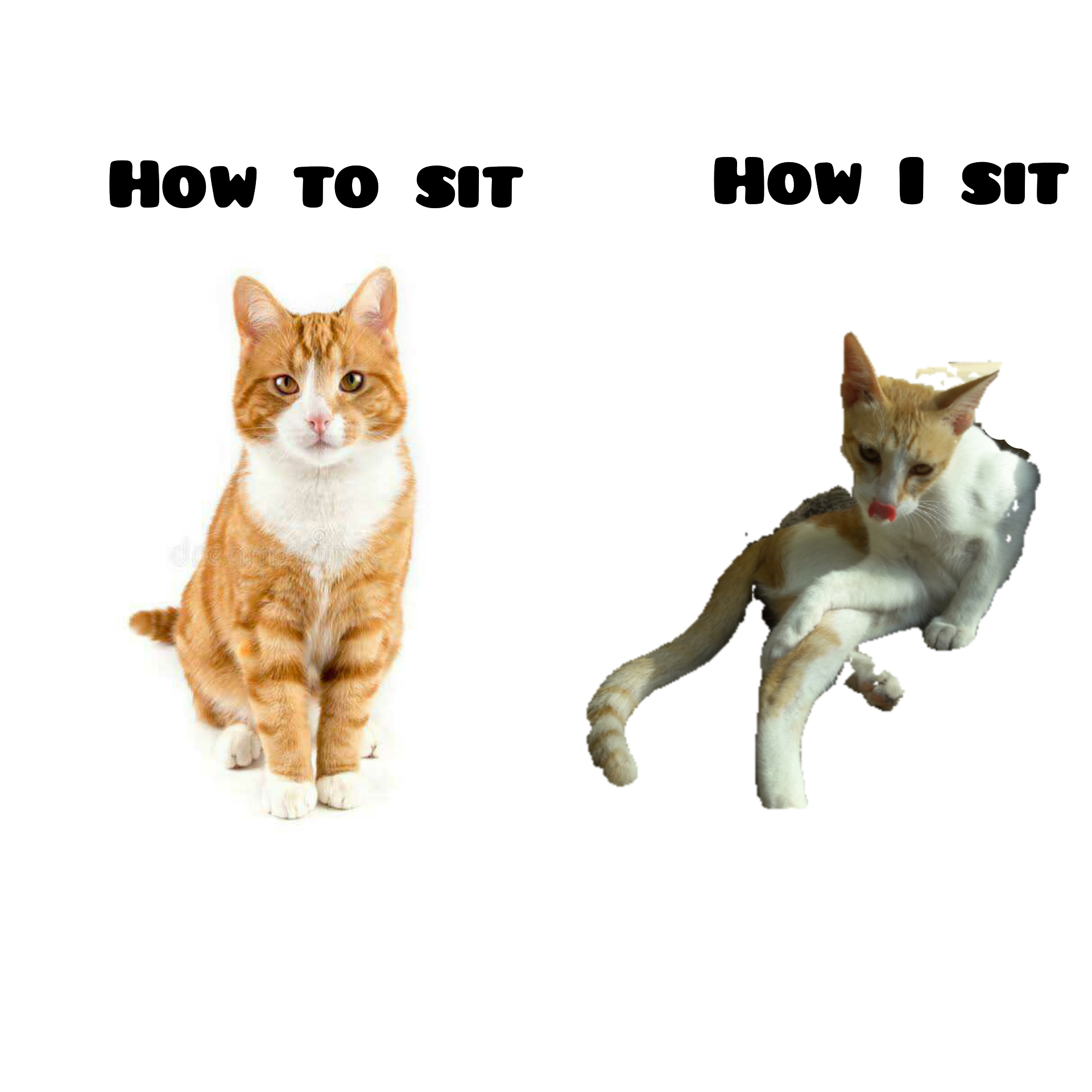 true though | Scrolller