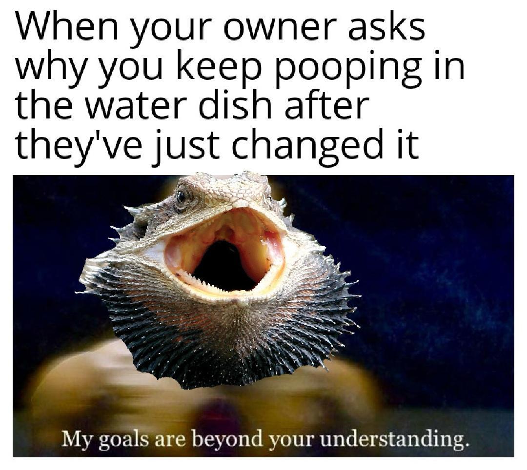 Truly mysterious creatures | Scrolller