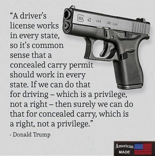 Trump on Concealed Carry Permits | Scrolller