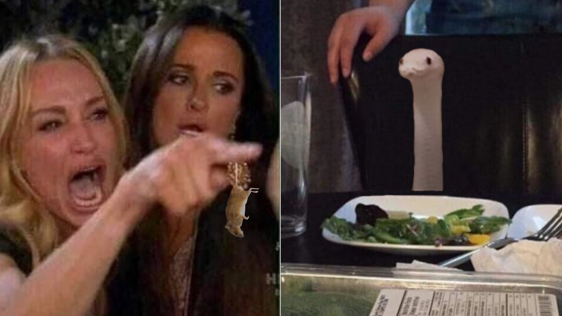 Tryna get a picky snake to eat like: | Scrolller