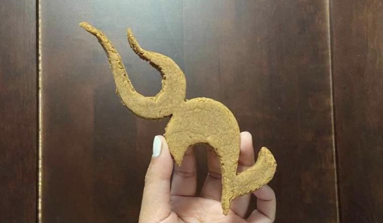 TSFH Logo Gingerbread Cookie ... anyone? | Scrolller