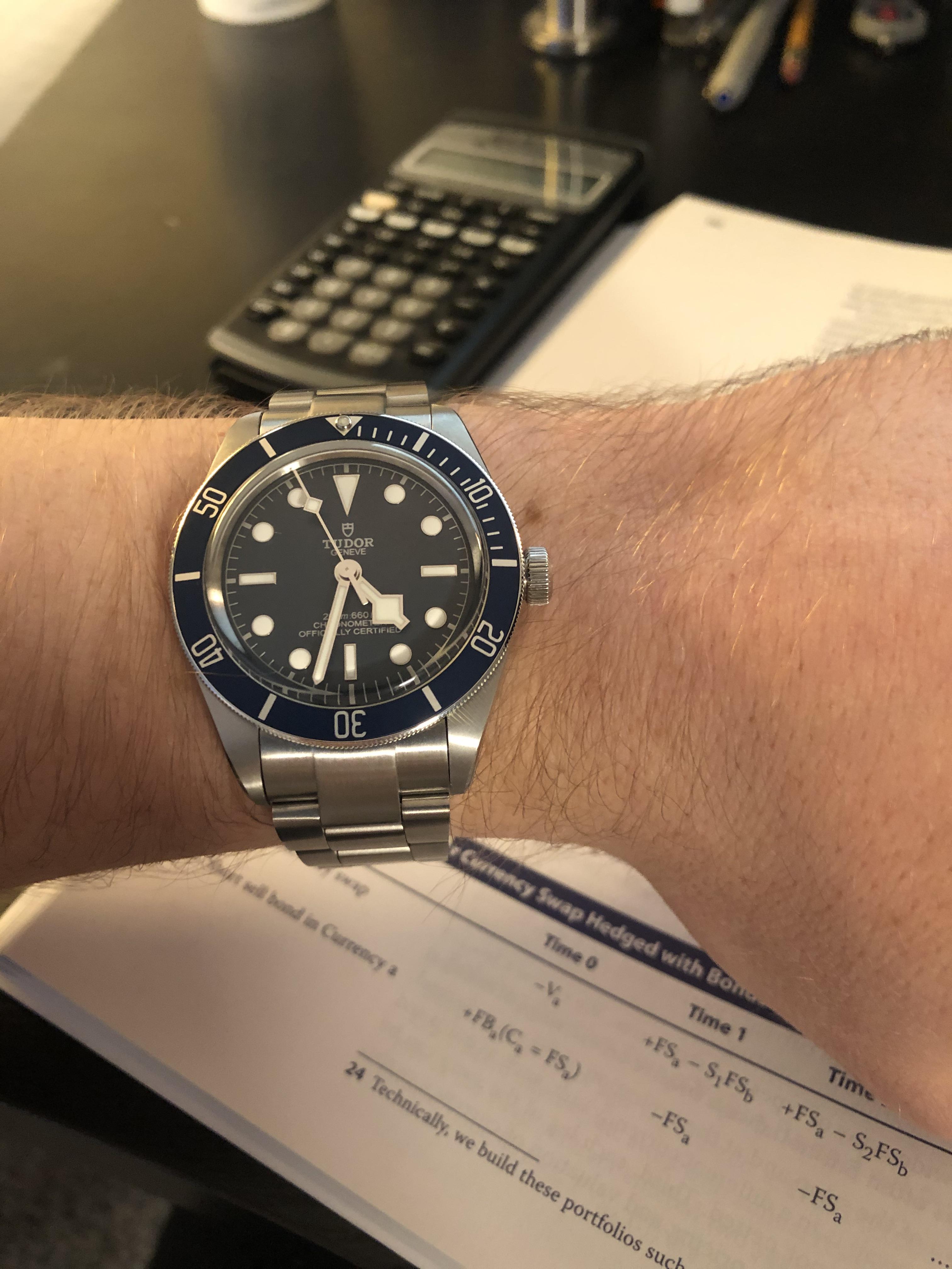 [Tudor BB58 Blue] Distracted by my new study buddy, can you blame me? | Scrolller