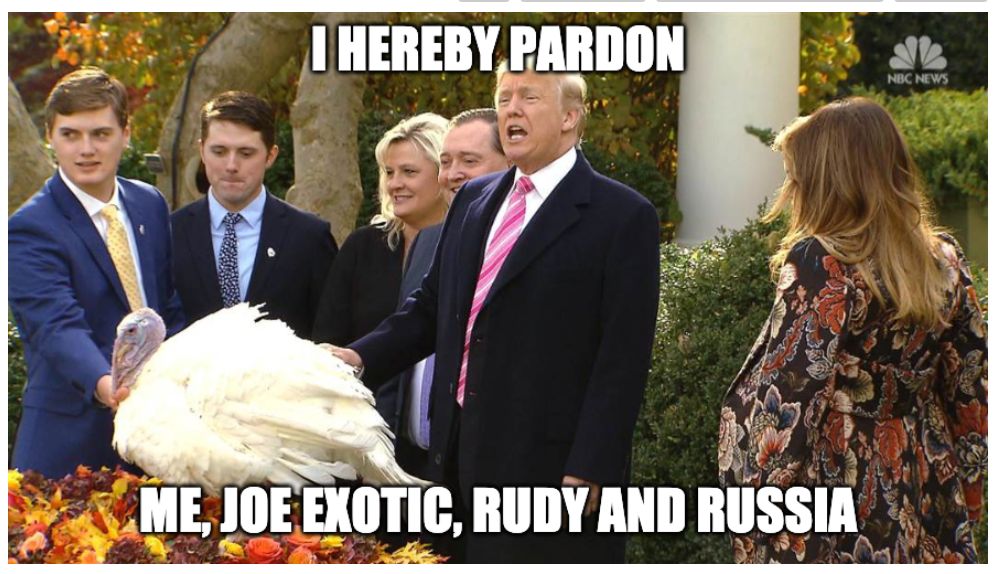 Turkey Tuesday | Scrolller