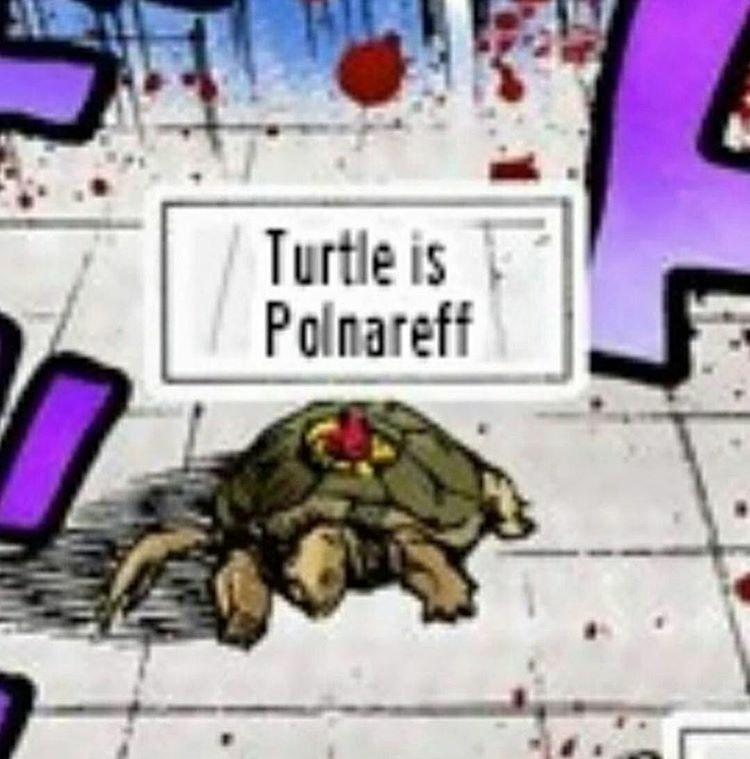 Turtle is polnareff | Scrolller