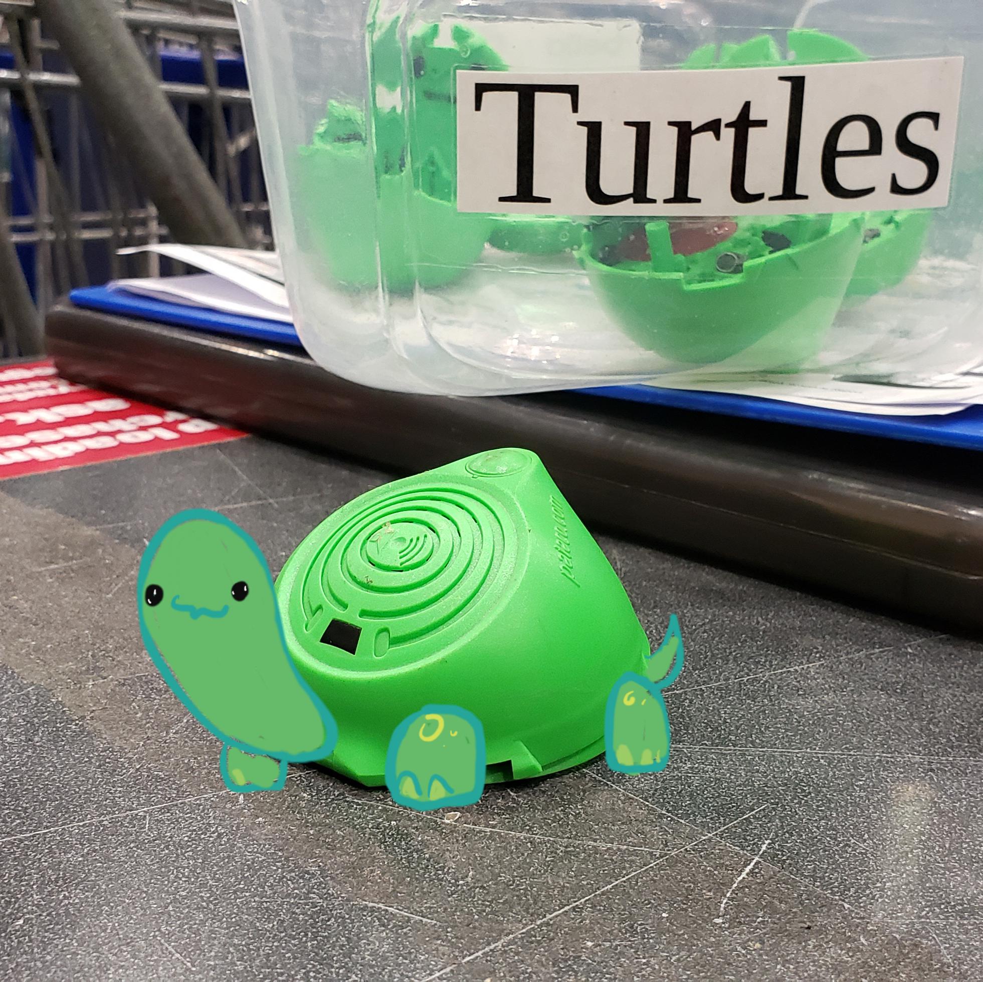 Turtles... | Scrolller