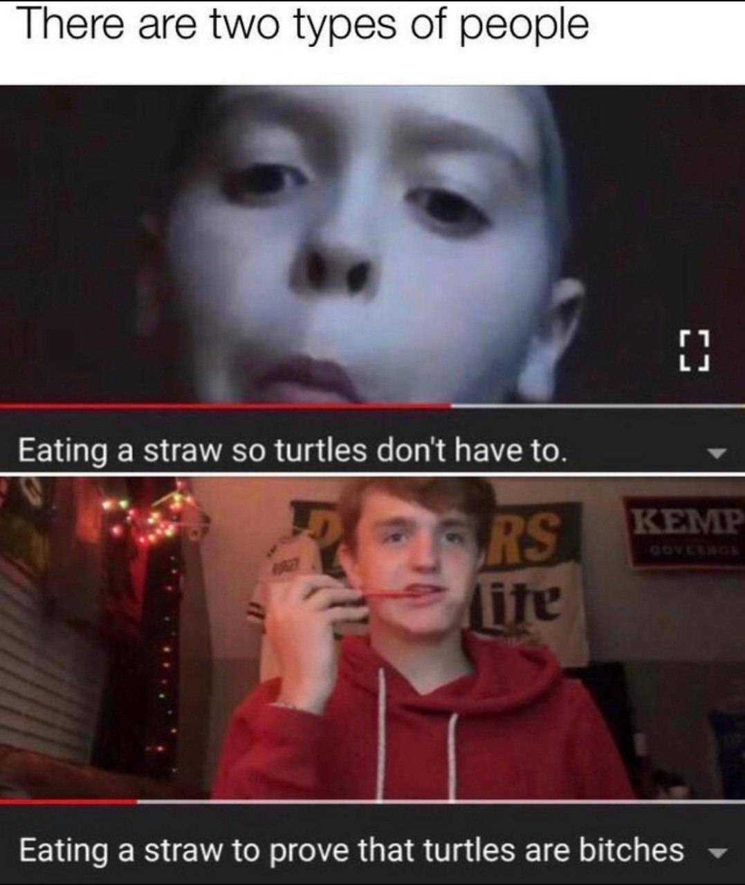 Turtles 😏 | Scrolller