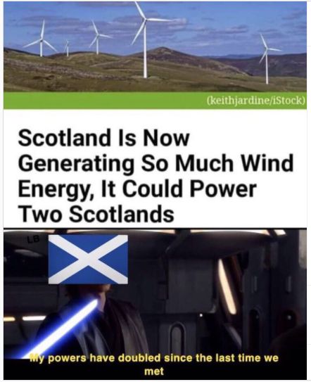 Twice the pride, double the fall | Scrolller