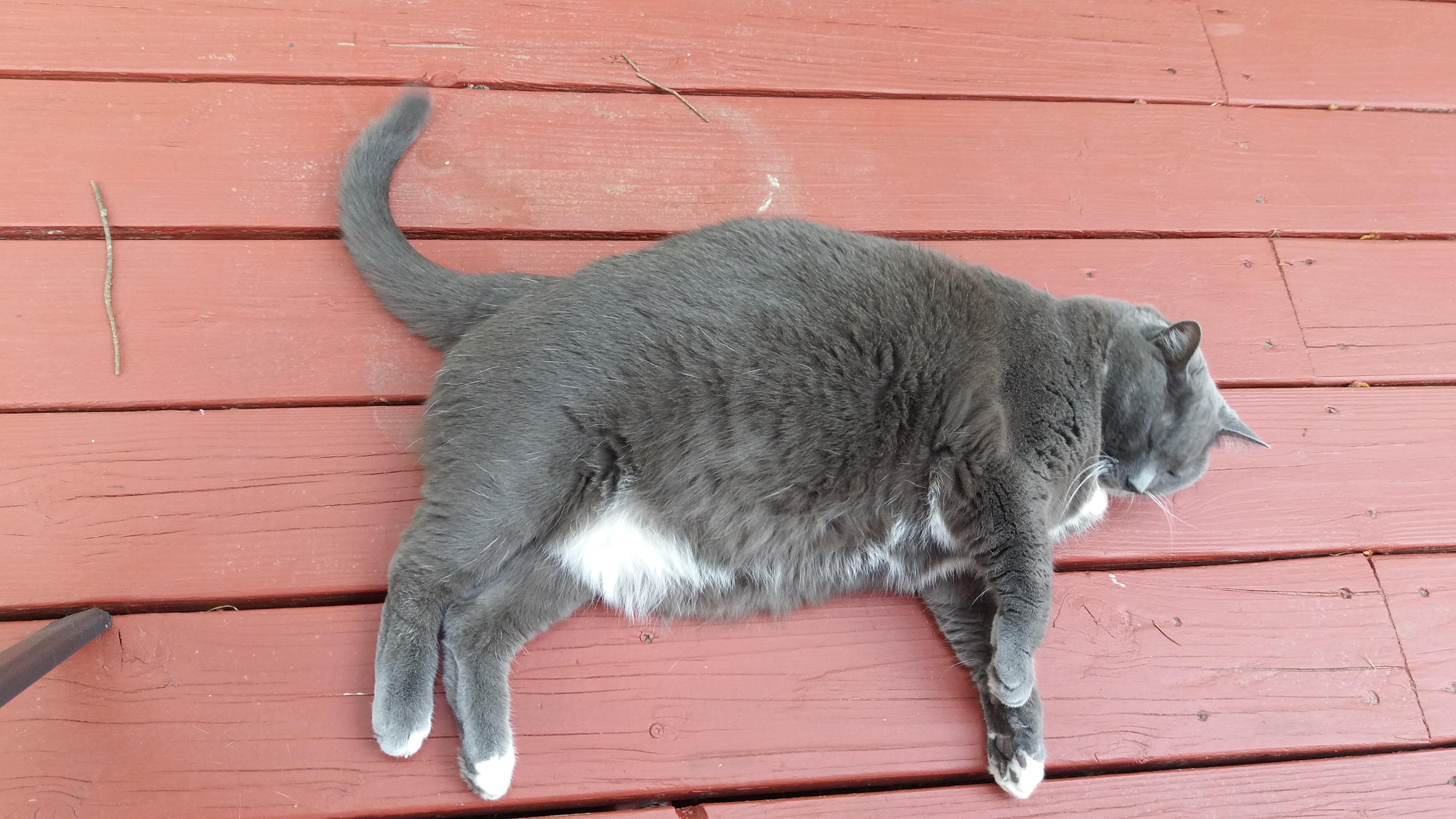 Twig for size comparison. | Scrolller