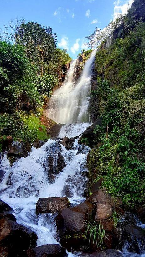 Twin Veils Waterfall, Amazonas, Peru (463 x 821) (OC) | Scrolller