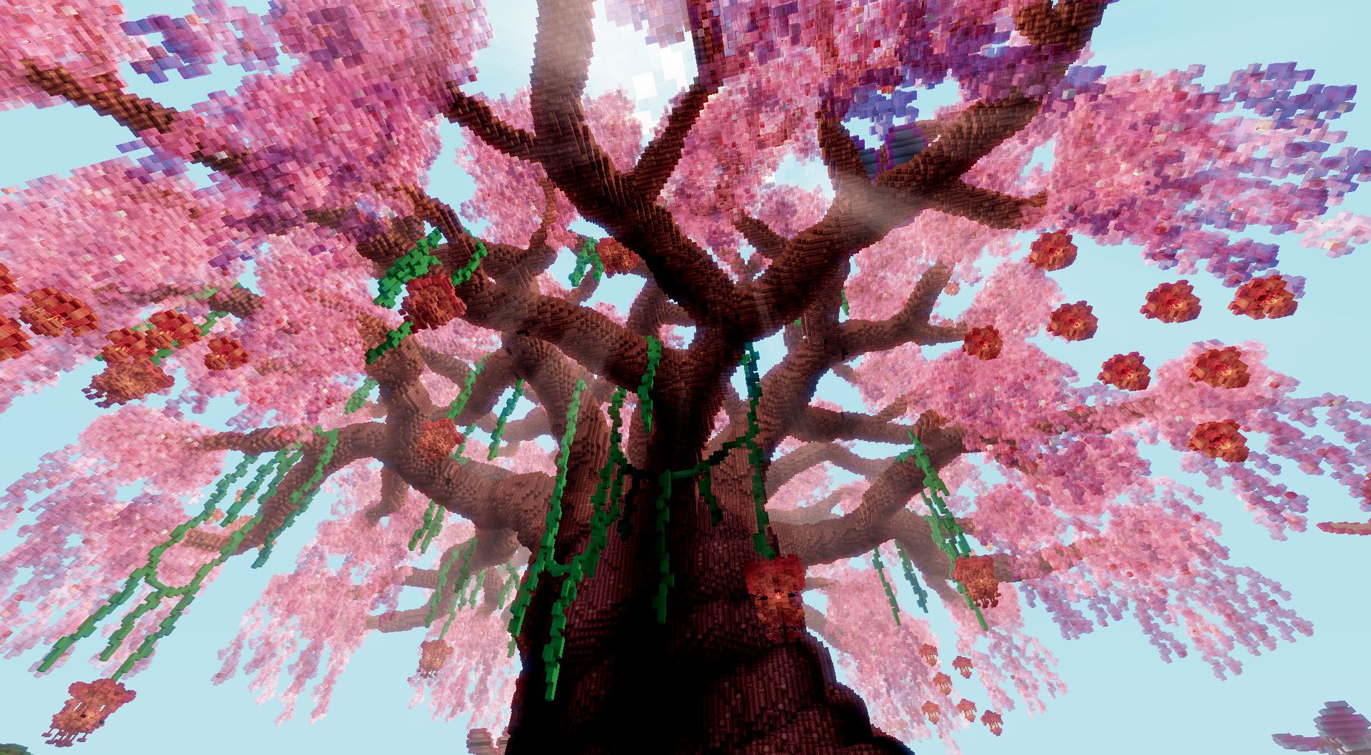 Twisted sakura tree | Scrolller