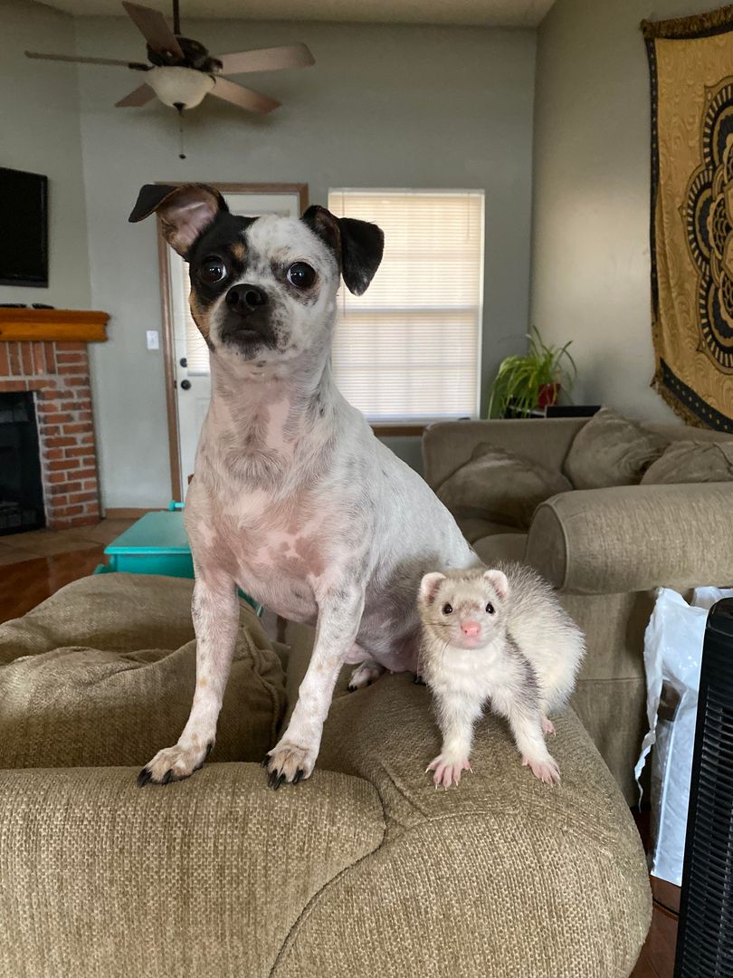 Two best buds | Scrolller