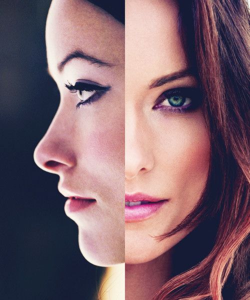 Two Choices | Scrolller