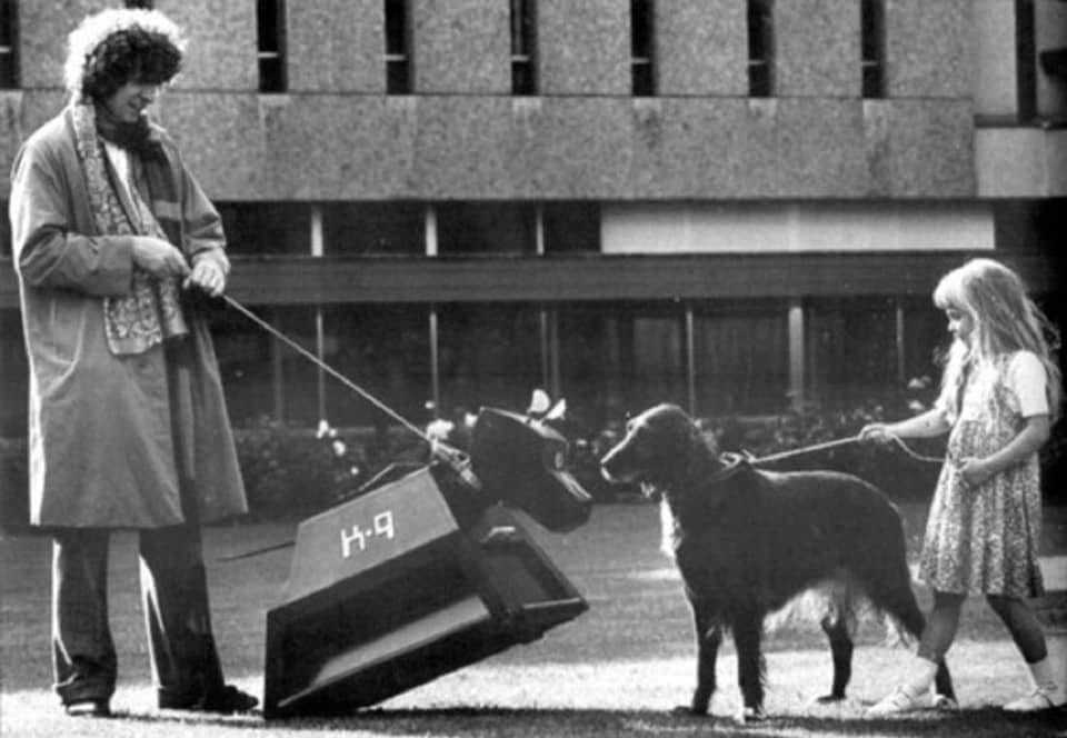 TWO DOGS MEETING EACH OTHER | Scrolller