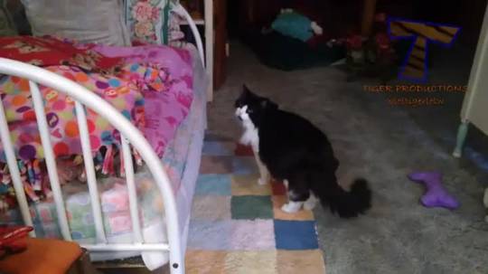 Two taps and a slap | Scrolller