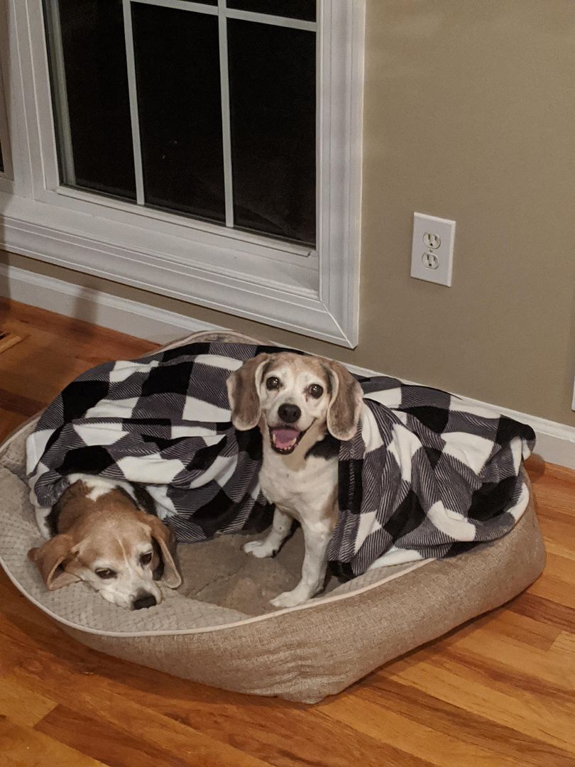 Two very good senior citizens | Scrolller