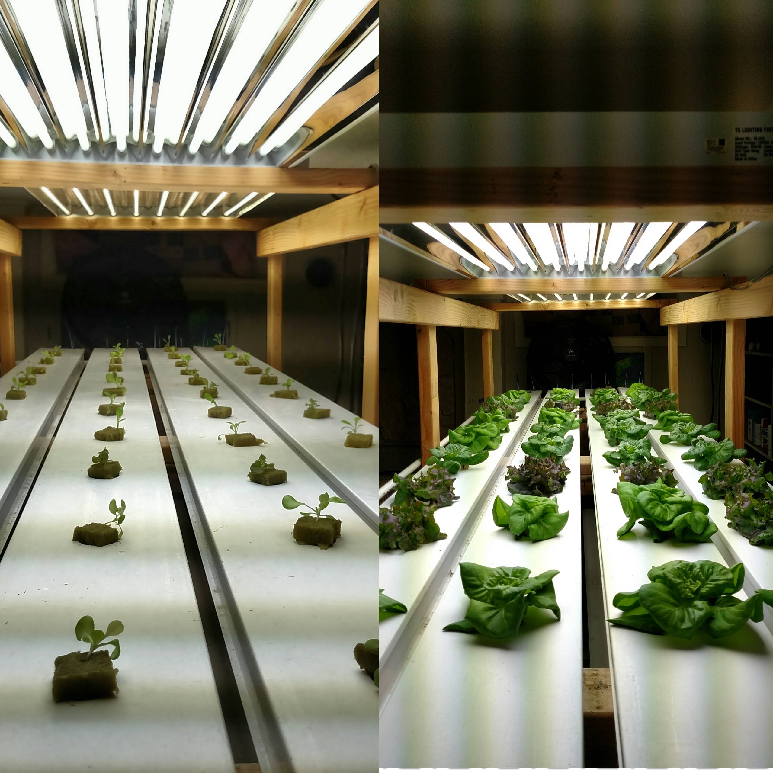 Two weeks of progress. | Scrolller