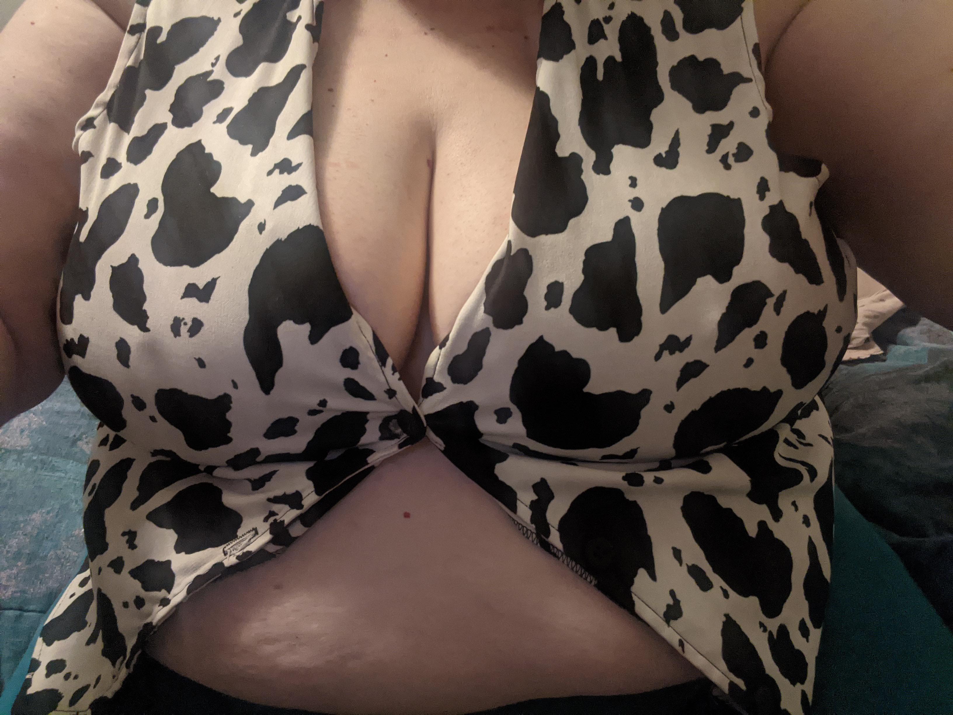 Udderly contained | Scrolller