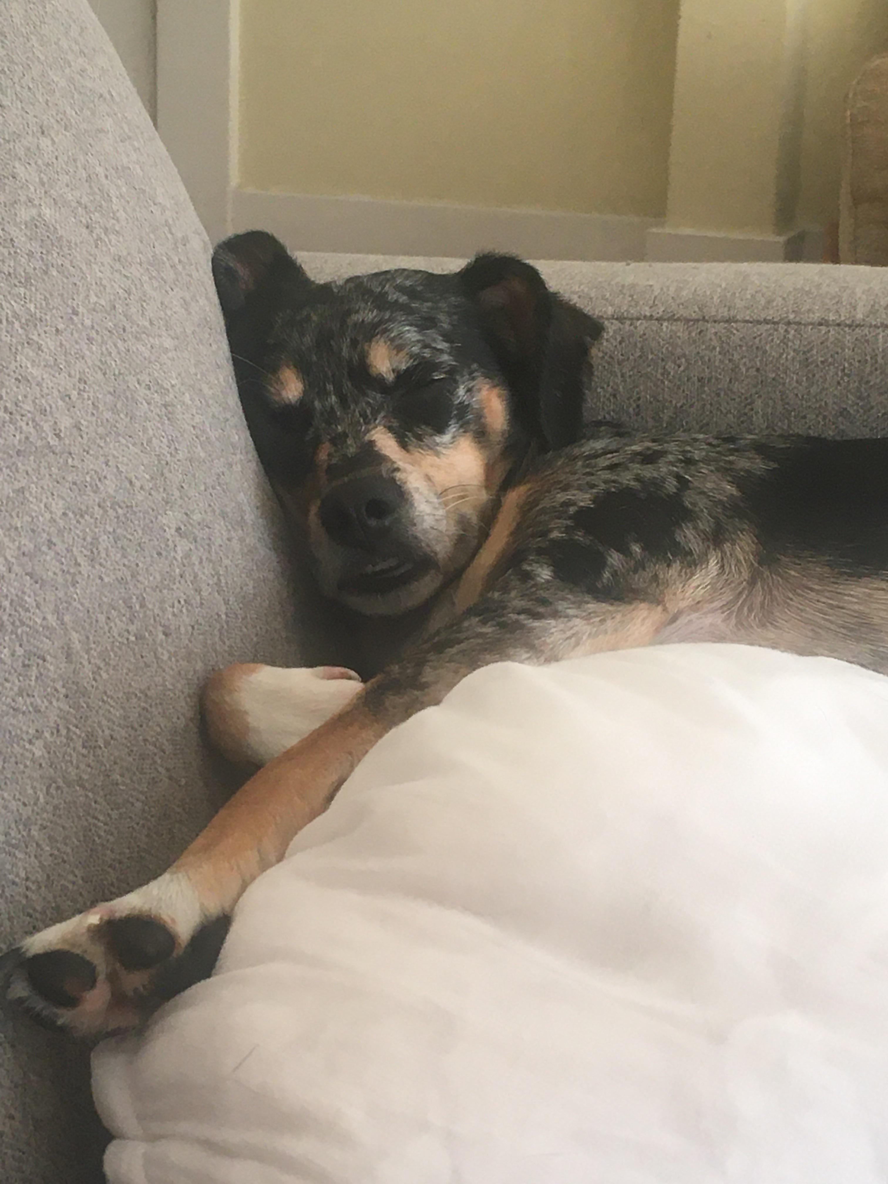 Ugly sleeper | Scrolller