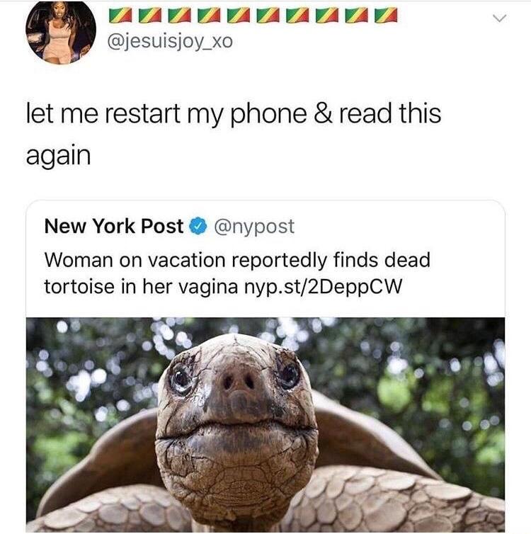 Ummm....Wait a second...? | Scrolller