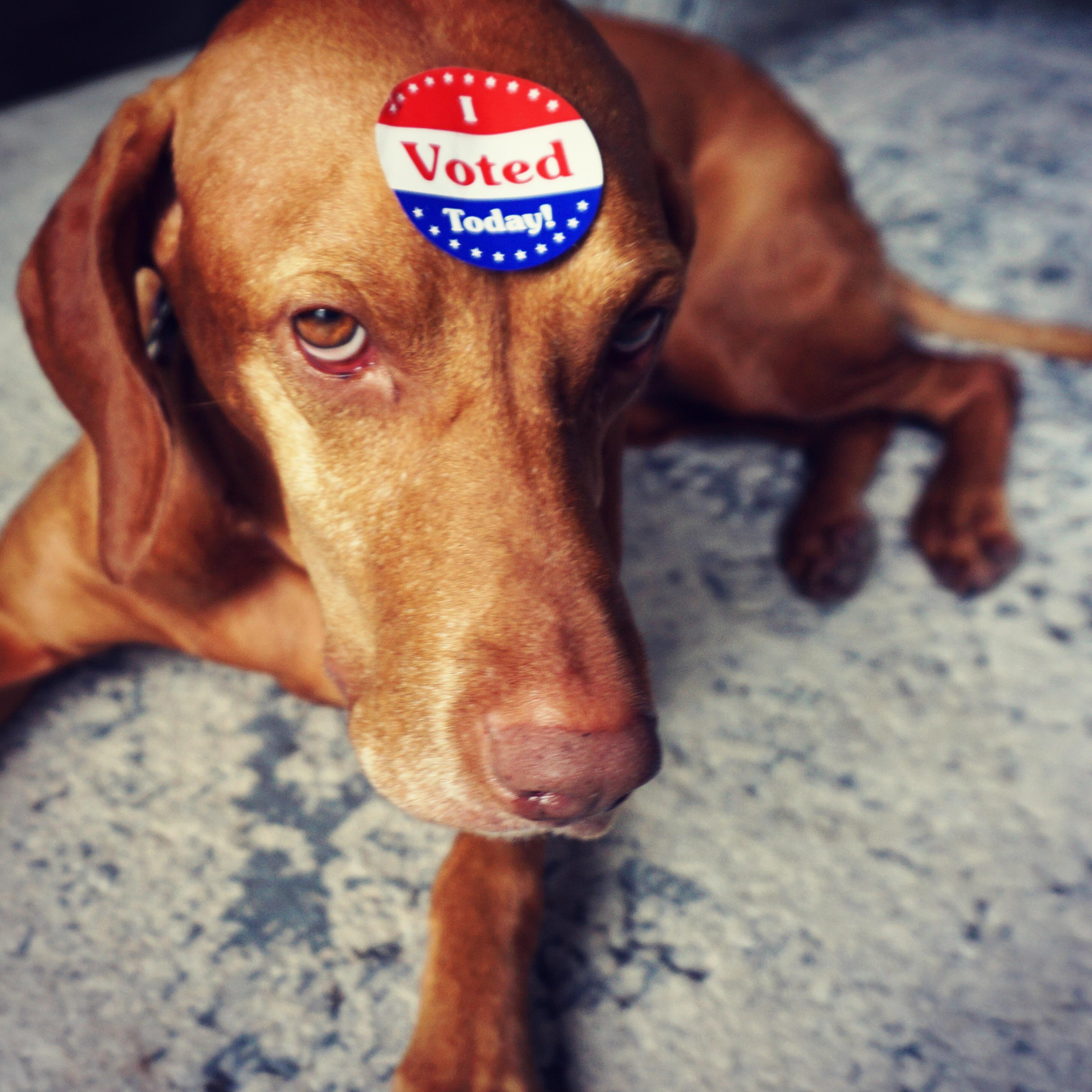 Unamused. | Scrolller