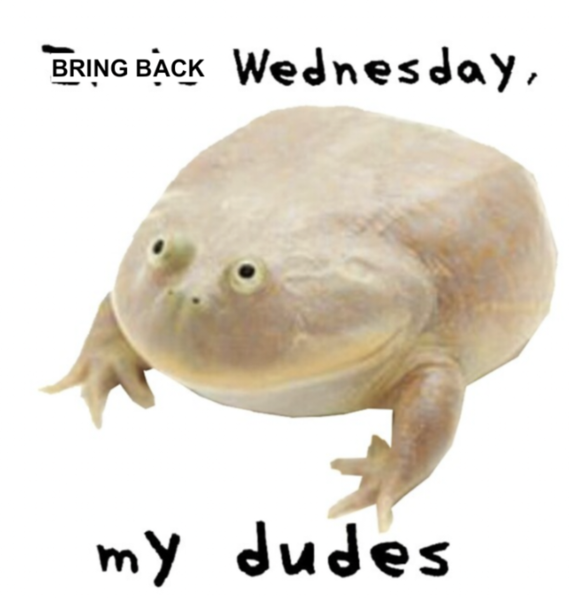 UNBAN THE FROG | Scrolller