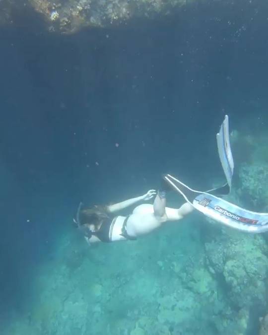 Underwater adventure | Scrolller