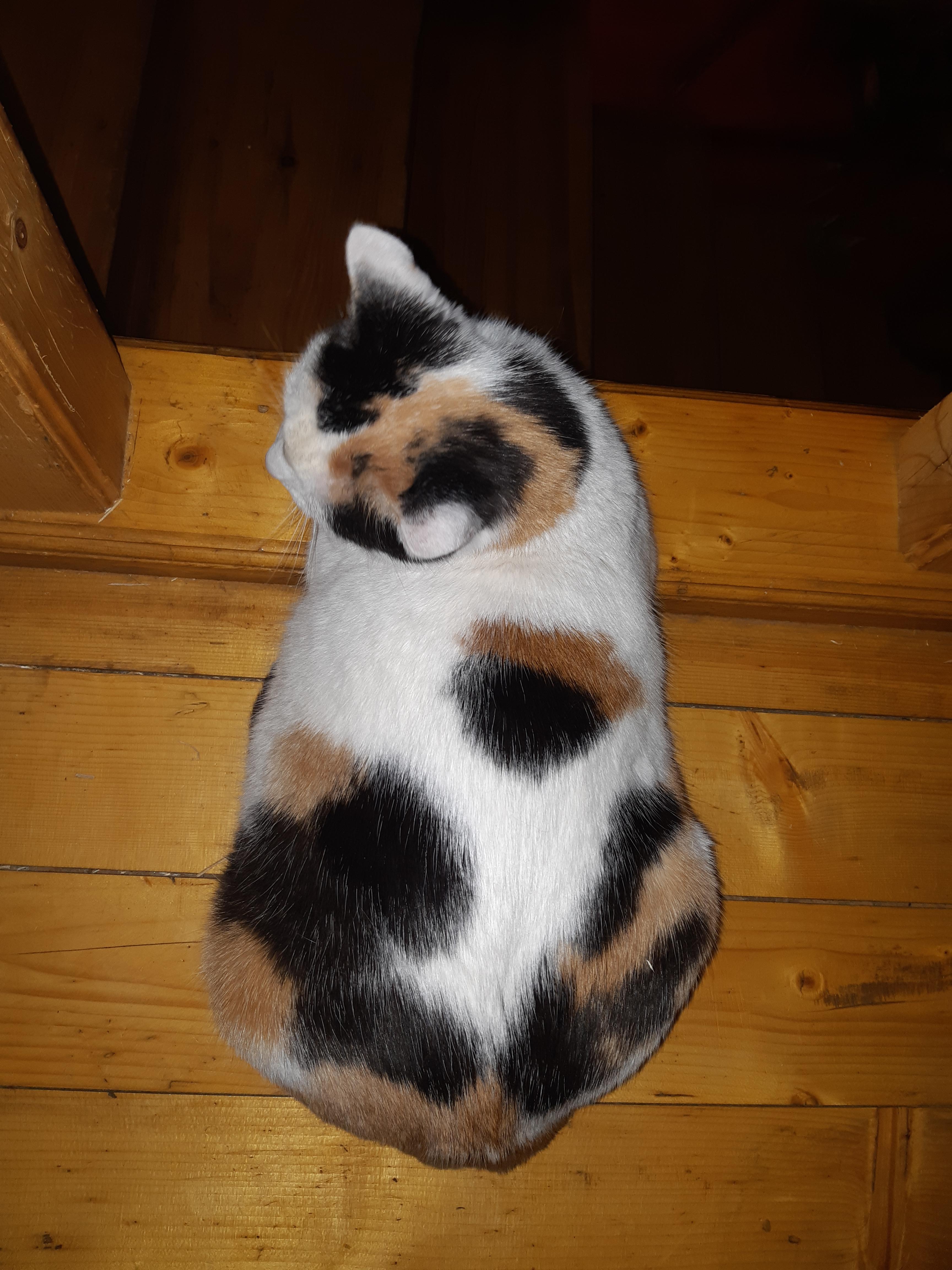 Uneven baked loaf | Scrolller