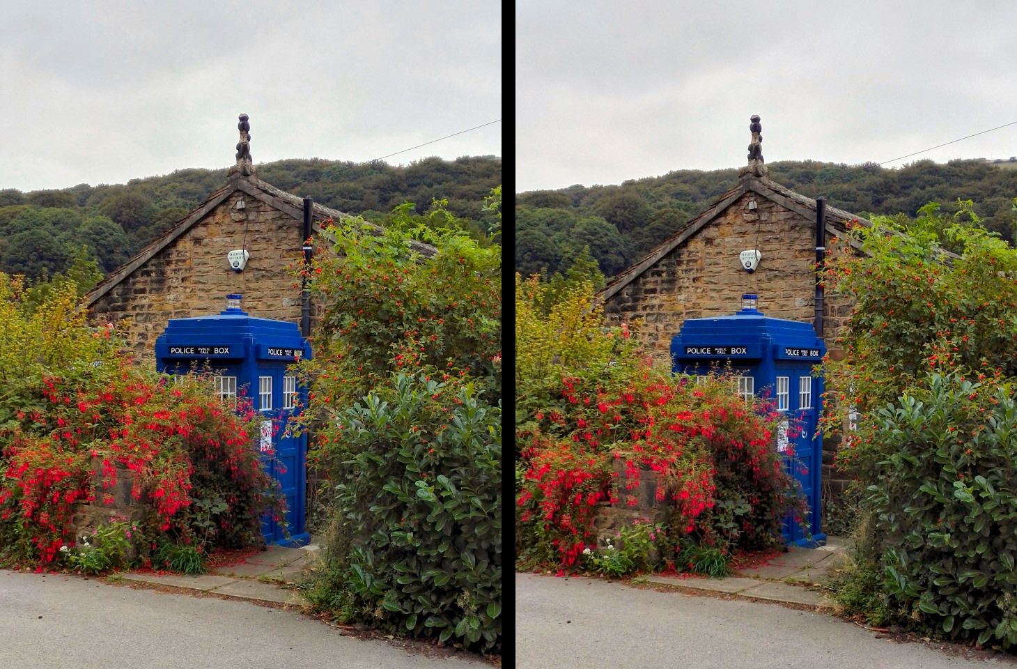 Unexpected Tardis | Scrolller