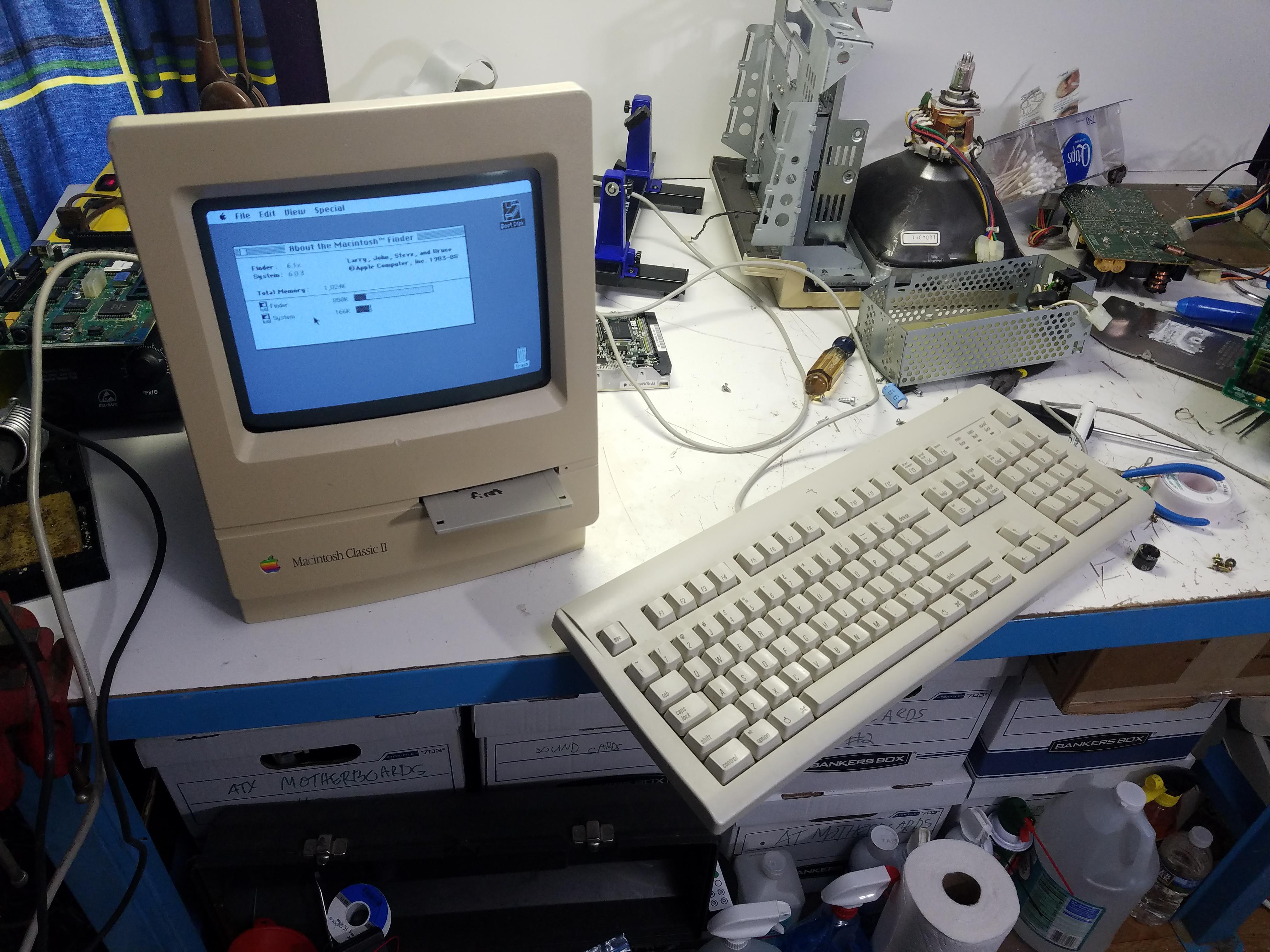 Up and running again! | Scrolller