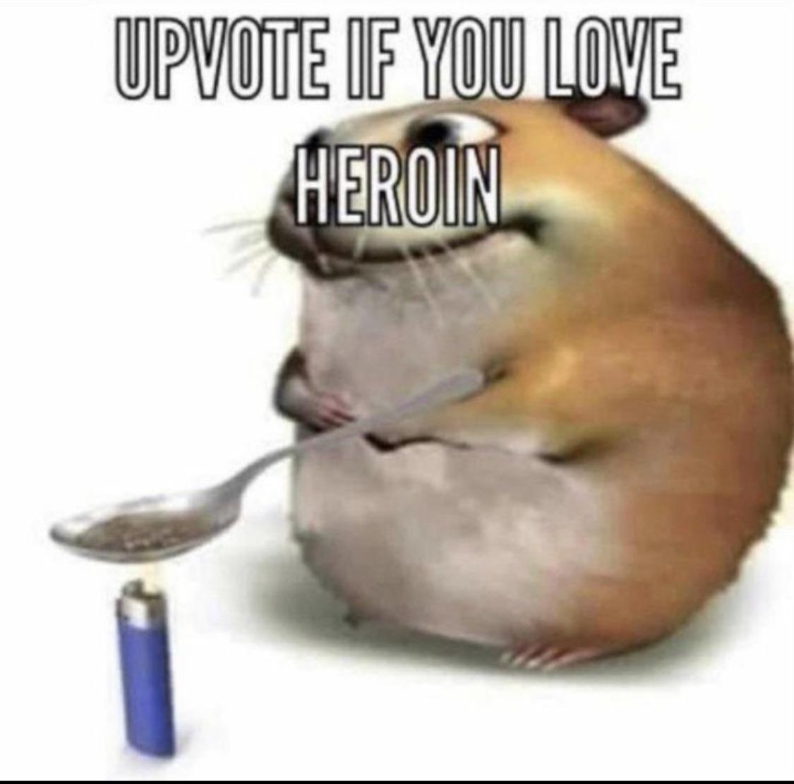 #UPAM raid | Scrolller