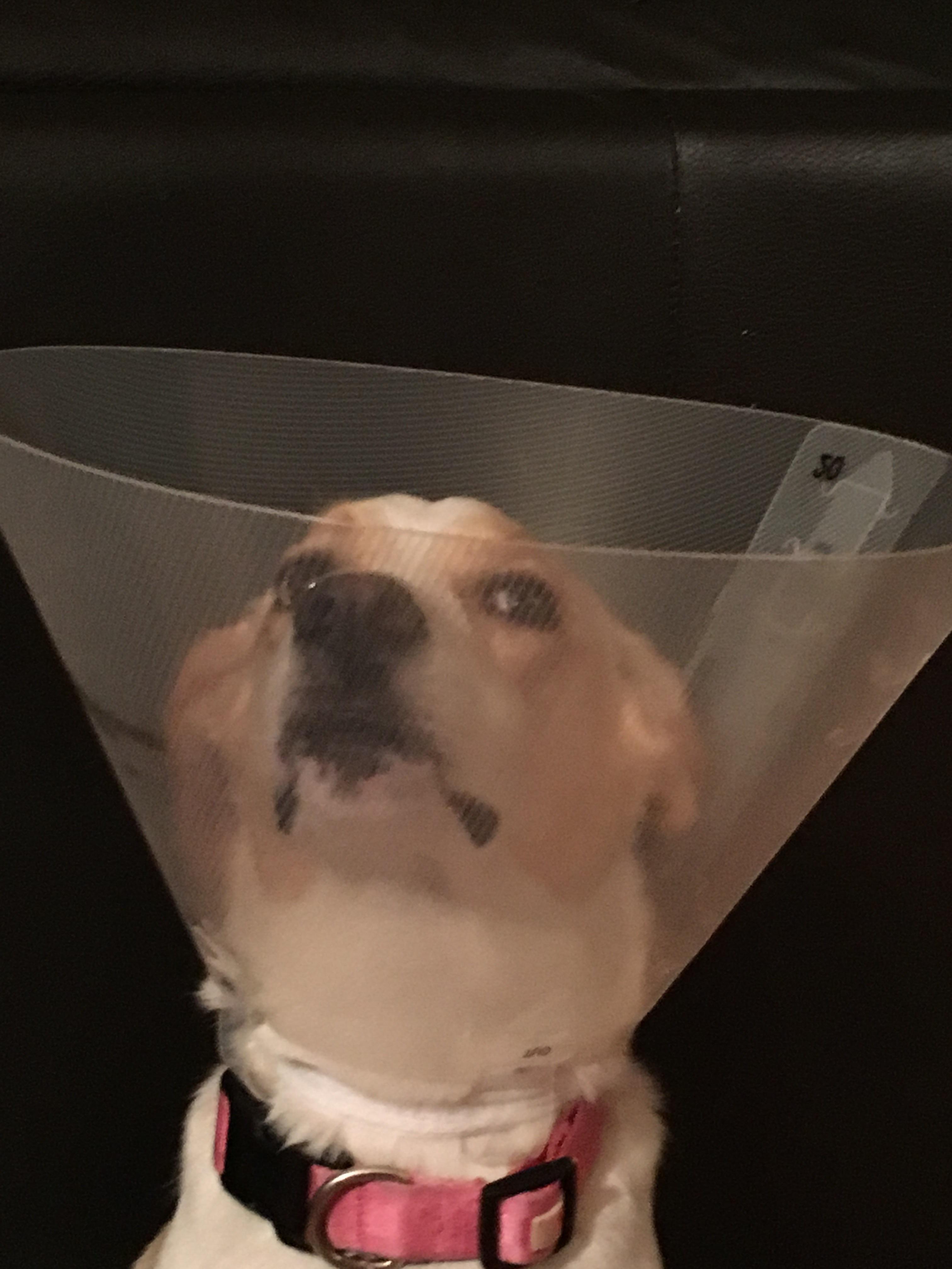 Upset Girle | Scrolller