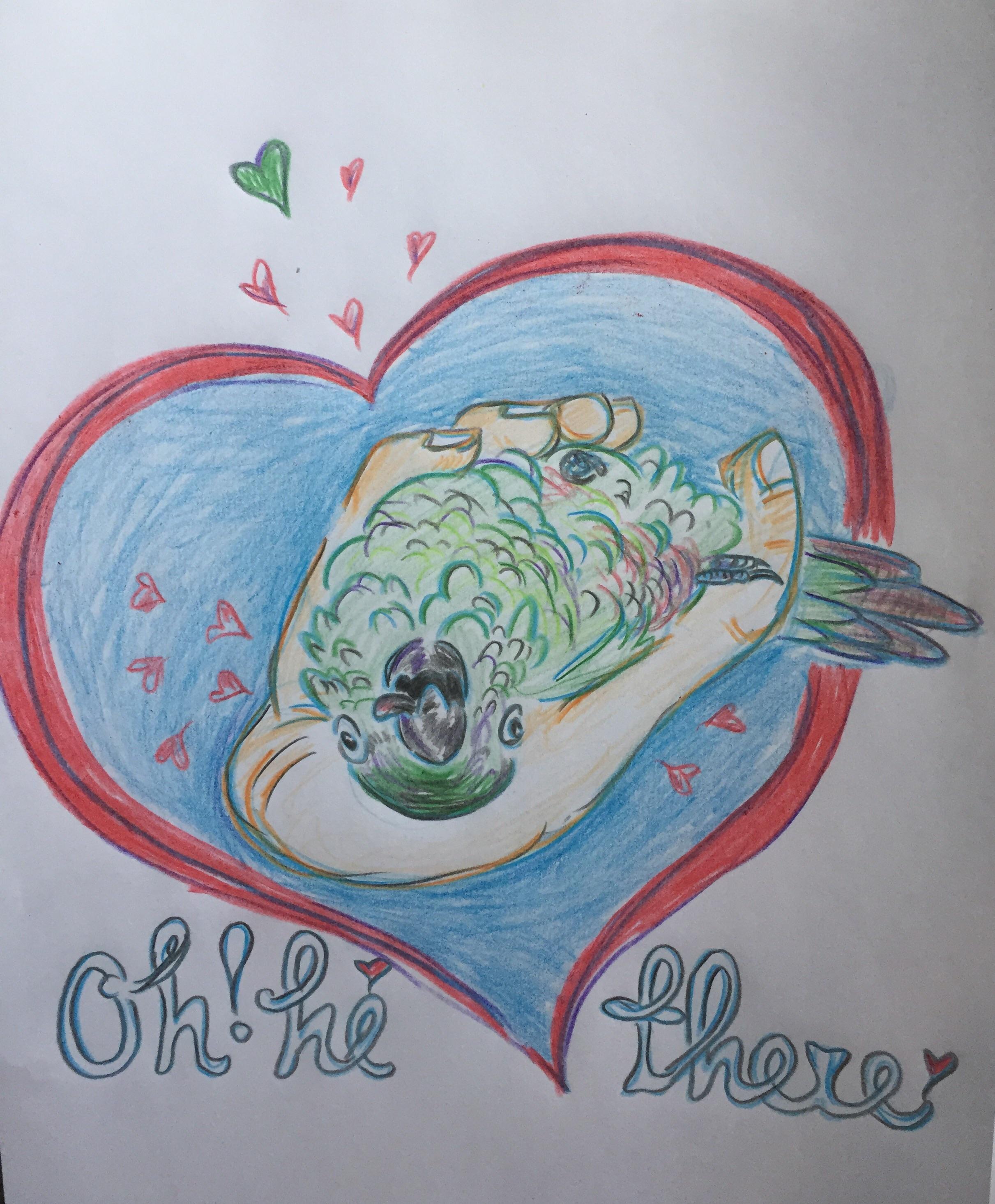 Upside down | Scrolller