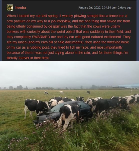 Utterly bonkers | Scrolller