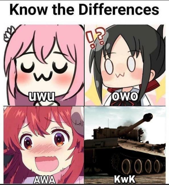 UwU tiger senpai | Scrolller