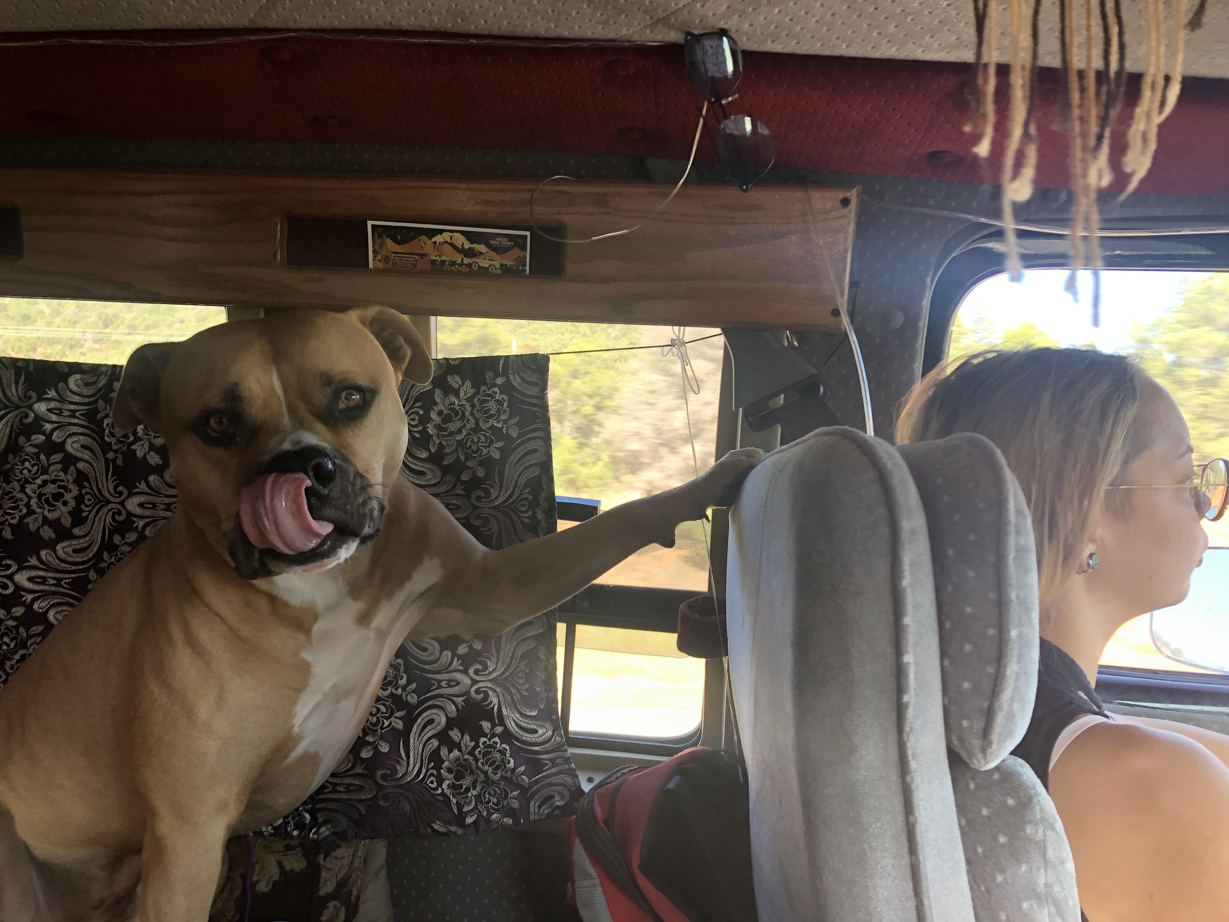 Van mlem | Scrolller