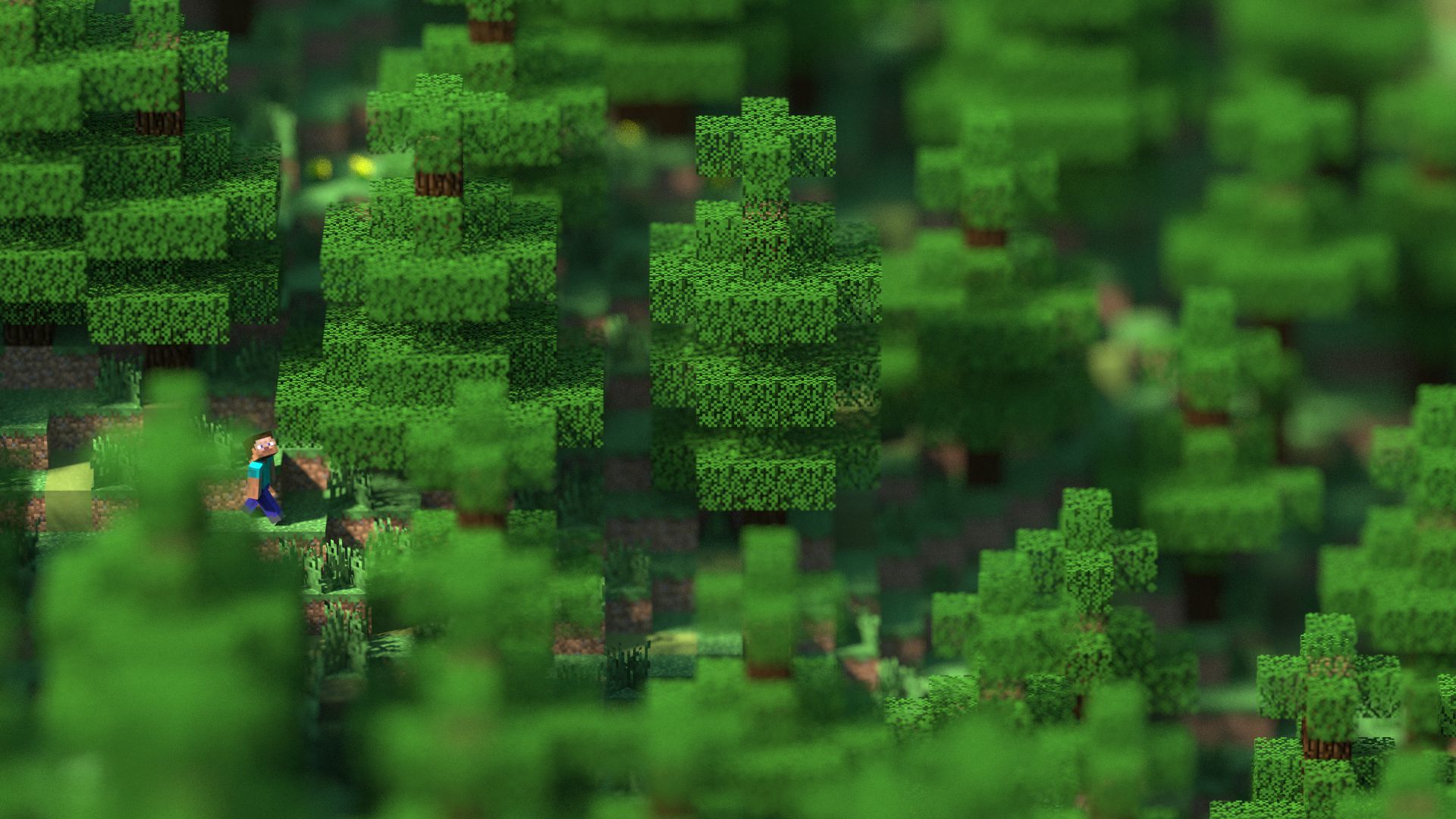 Vanilla Exploration | Scrolller