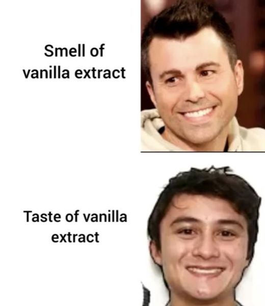 VANilLa ExTRacT | Scrolller
