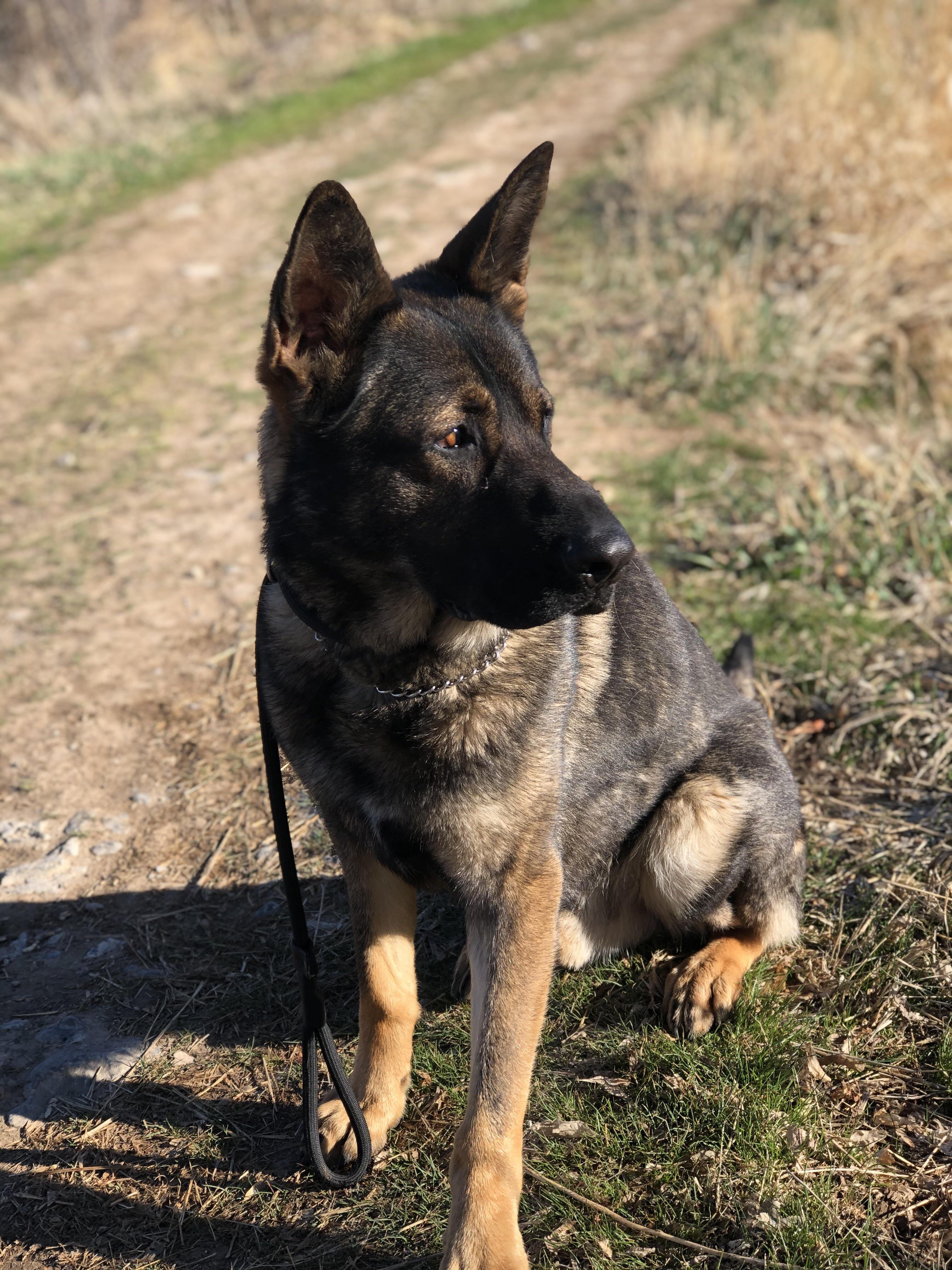 Very handsome | Scrolller