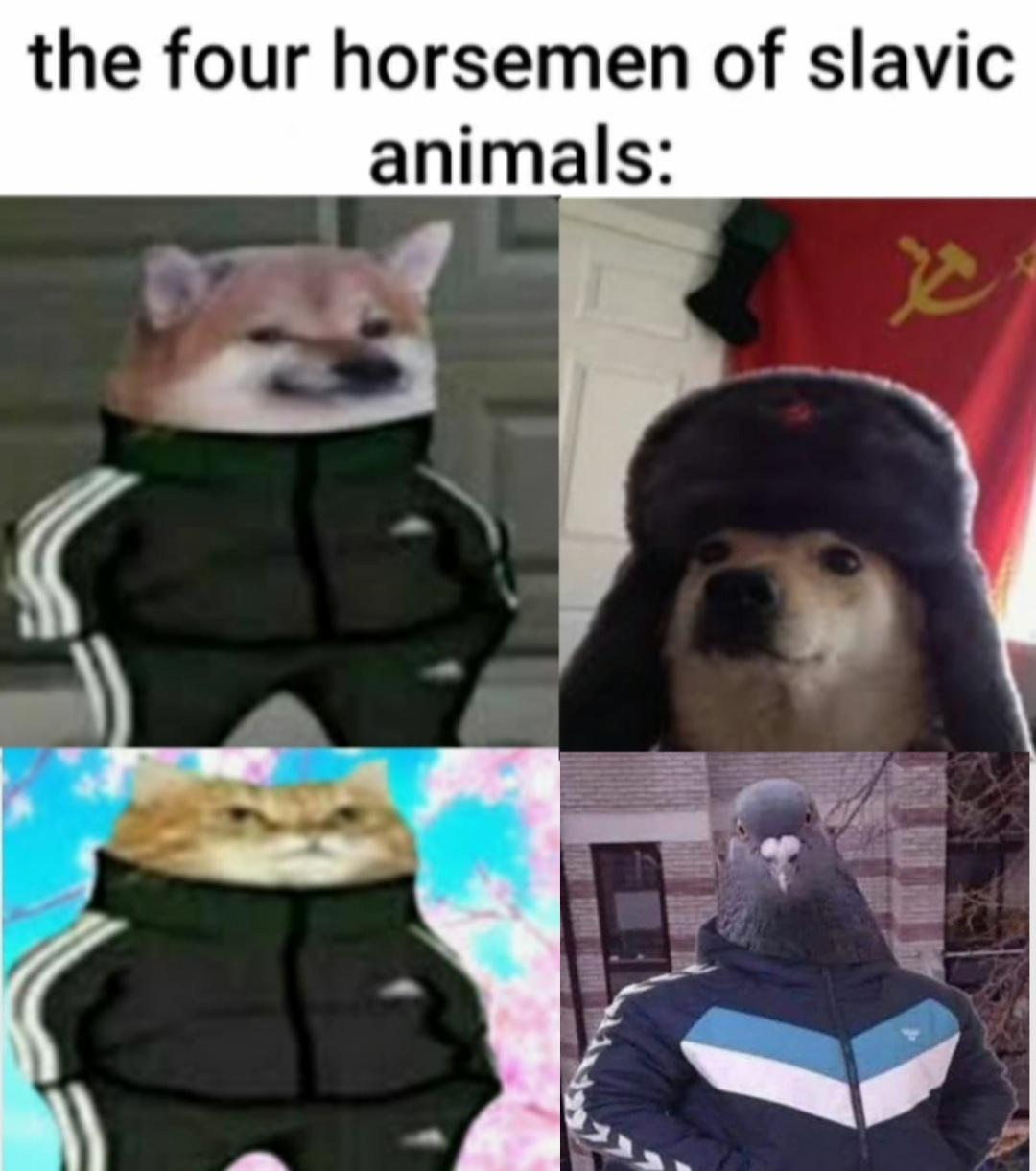 Very slavic | Scrolller