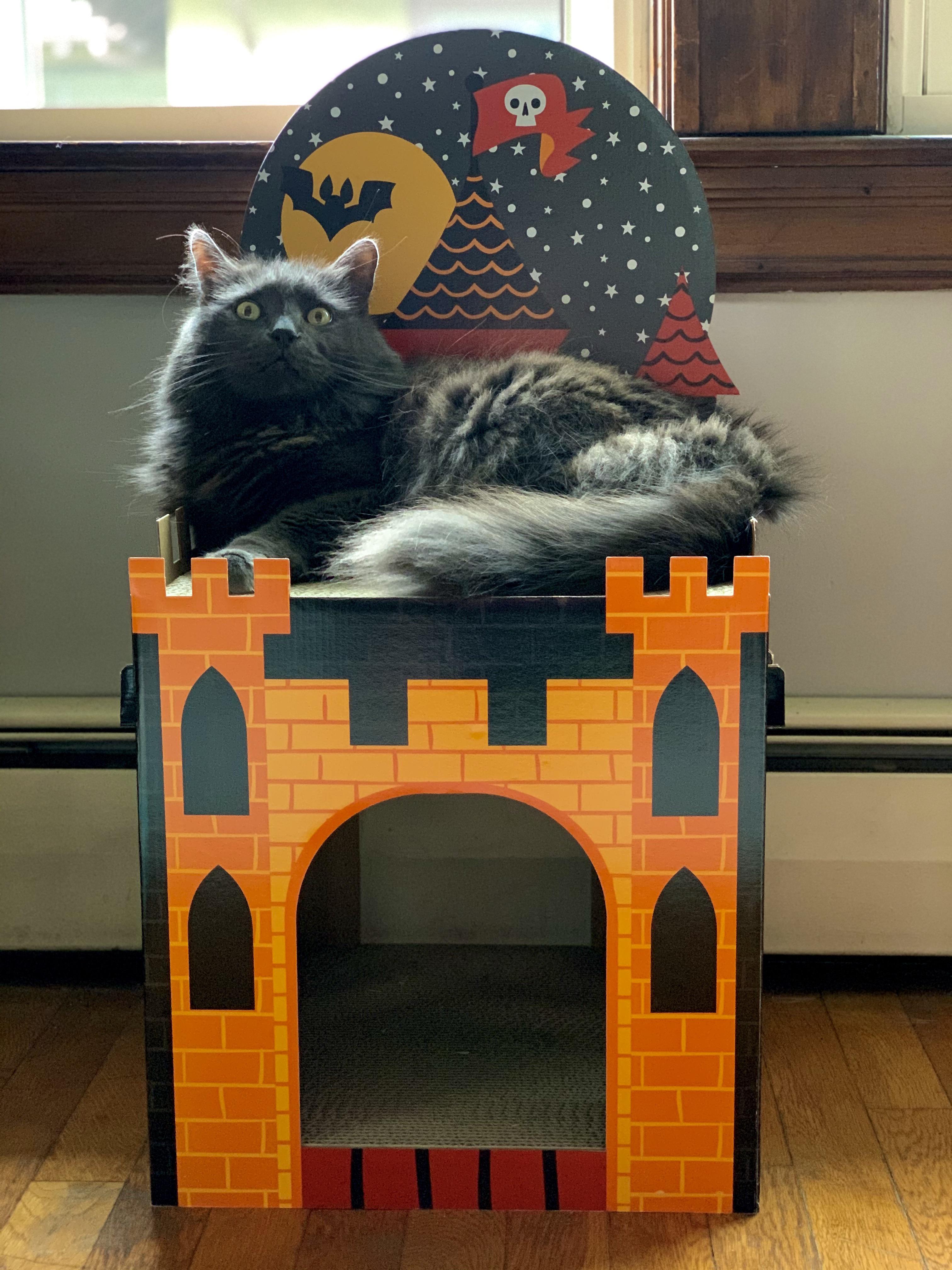 very spoopy | Scrolller