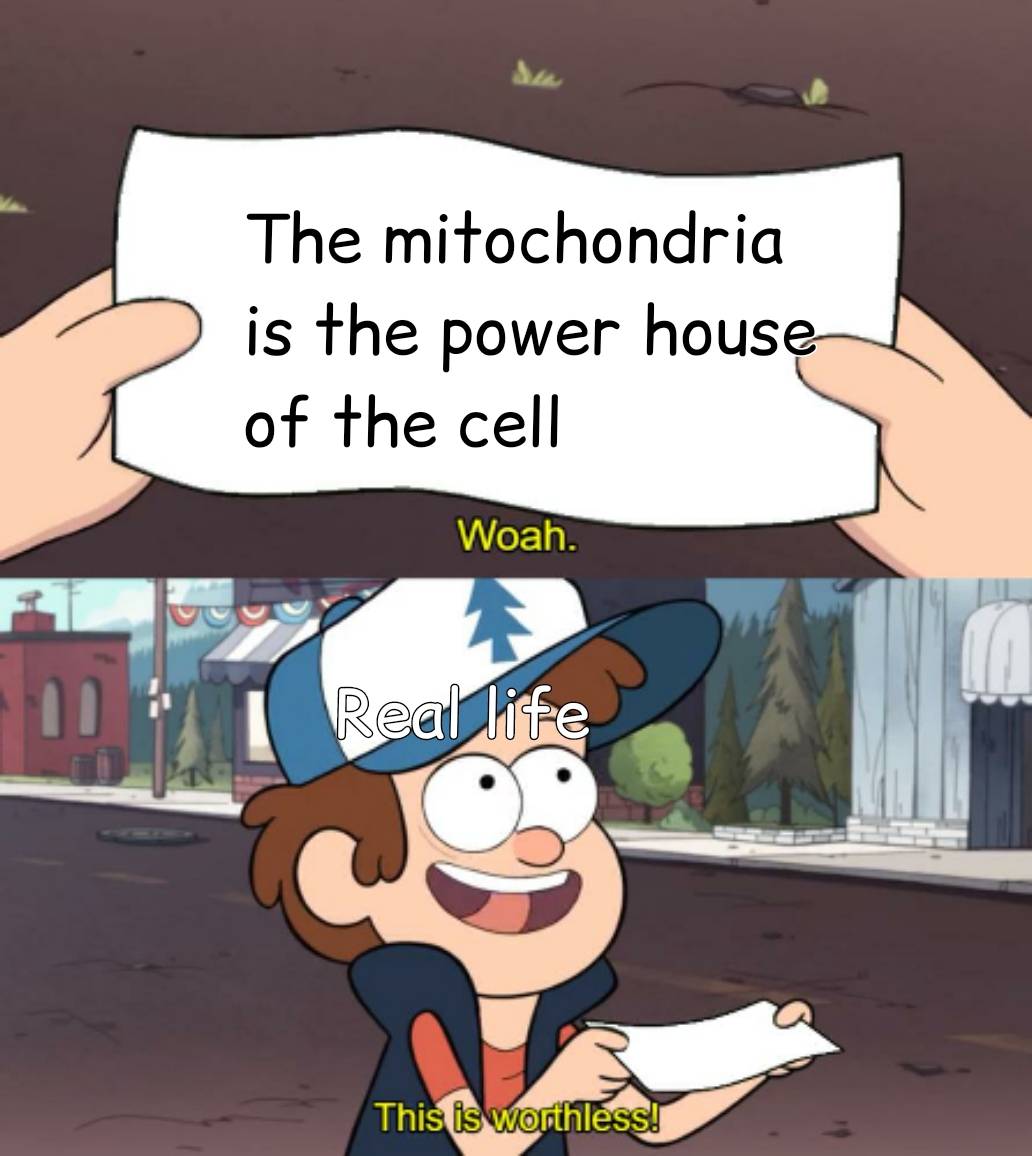 Very useless | Scrolller