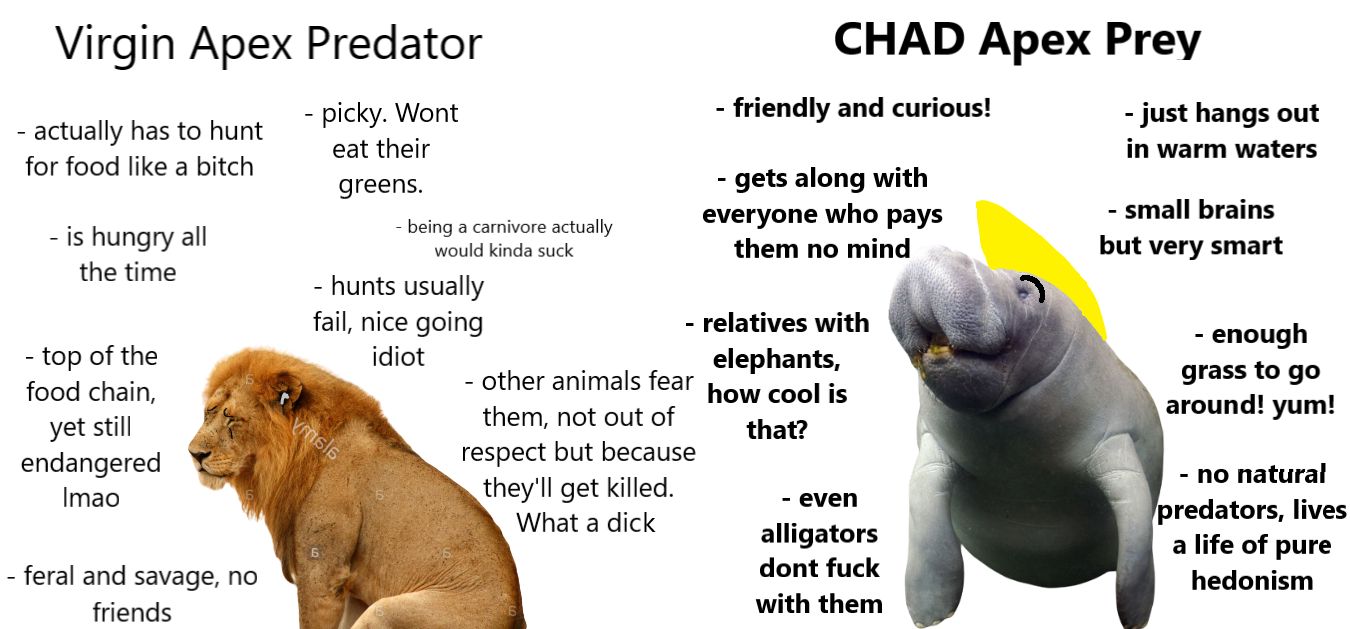 Virgin Predator vs Chad Prey | Scrolller