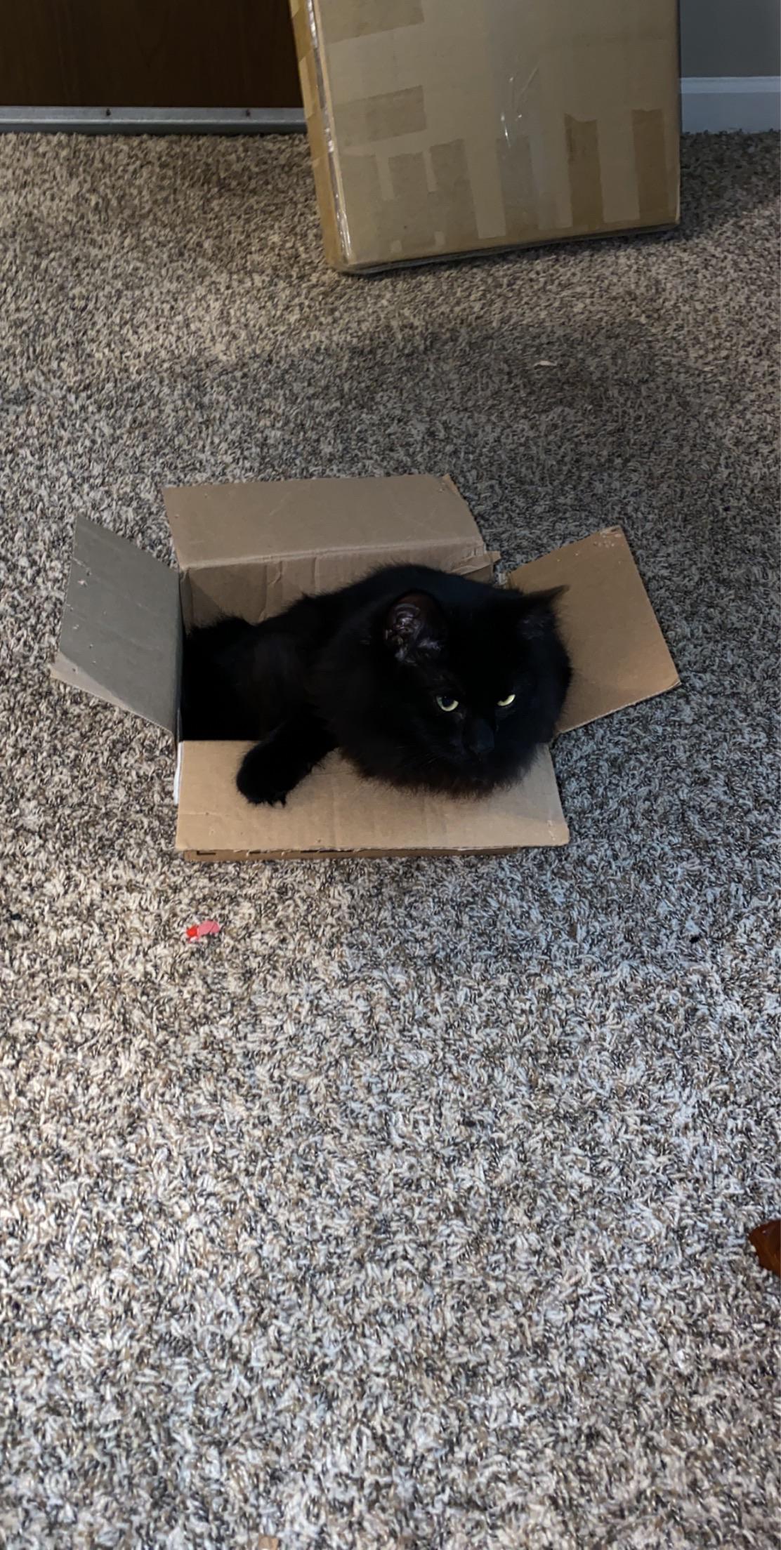 Void-in-a-box | Scrolller