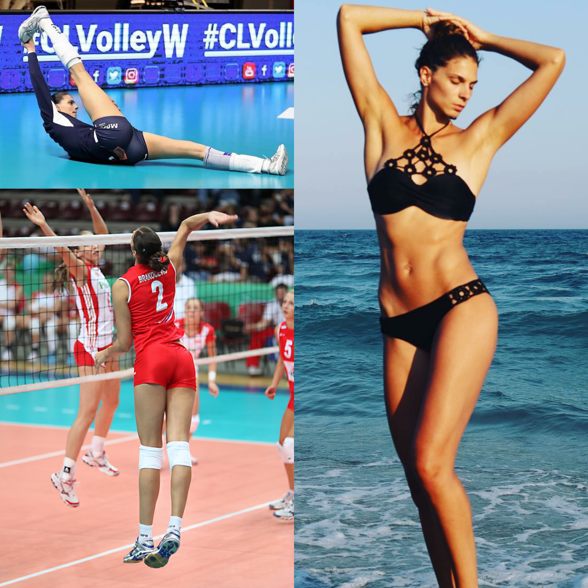 Volleyballer. | Scrolller