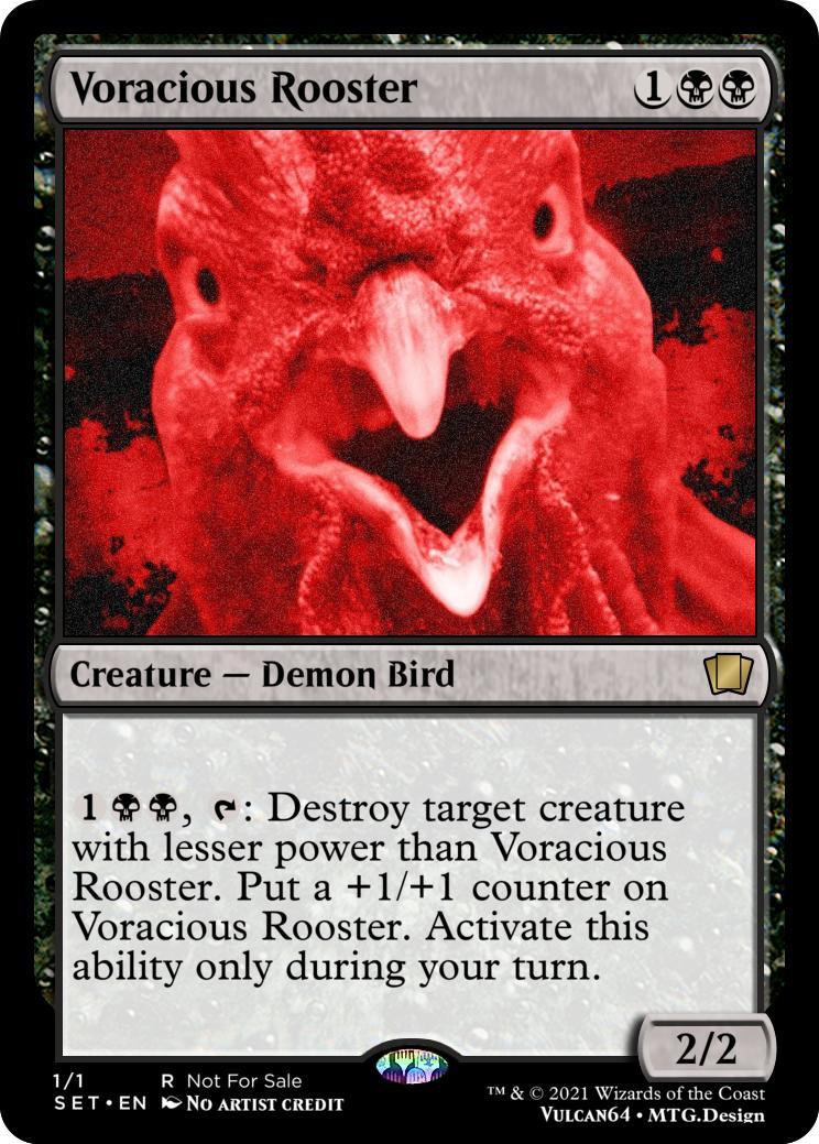 Voracious Rooster | Scrolller