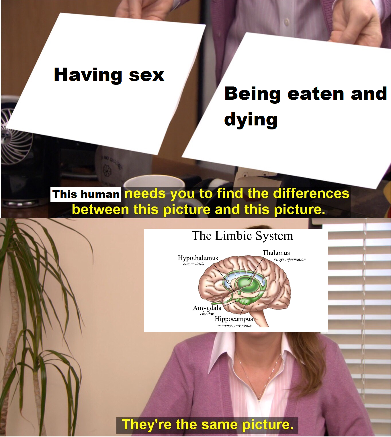 Vore_irl | Scrolller