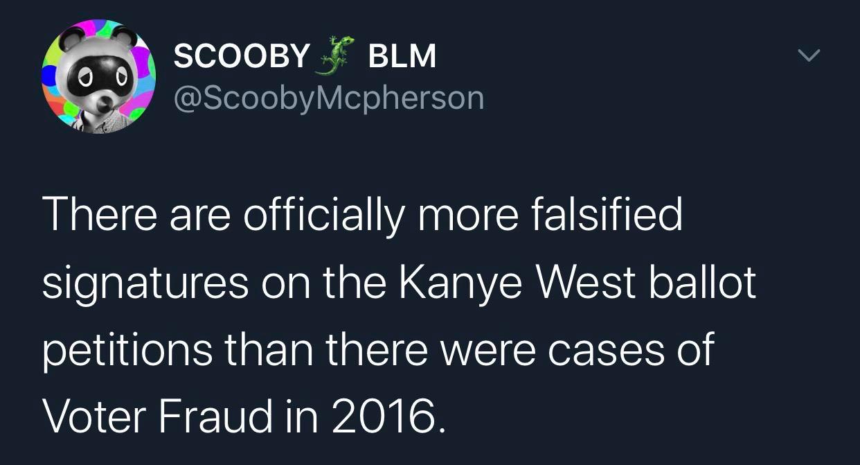 Voter Fraud | Scrolller