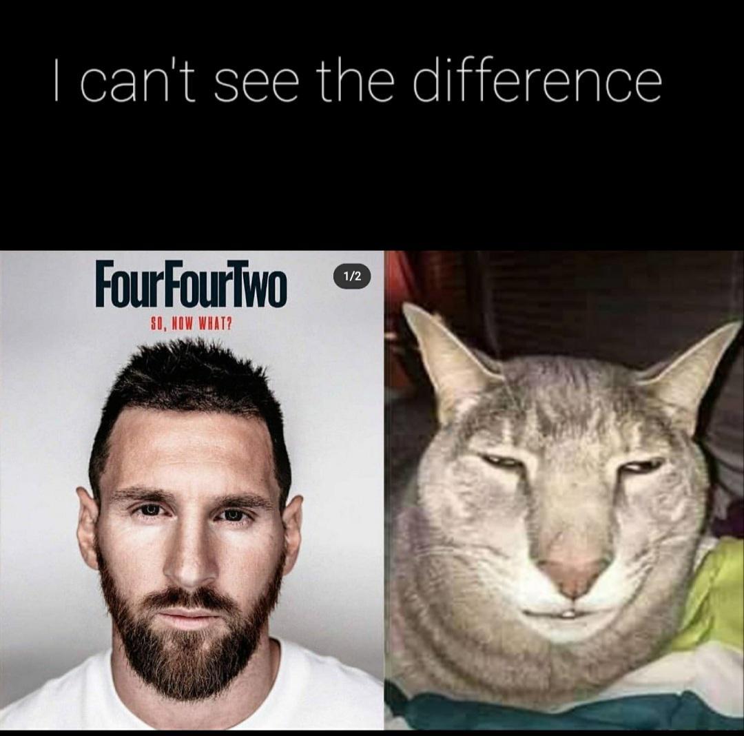 Wait they're the same ! | Scrolller