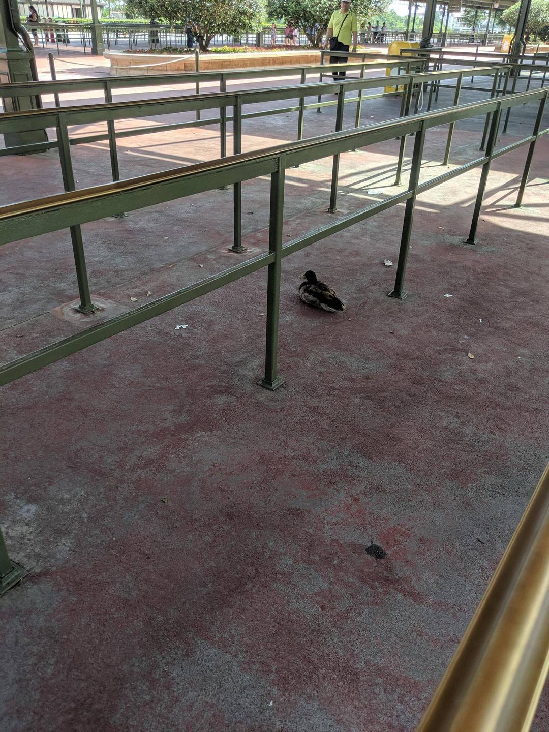 Waiting for the bus | Scrolller